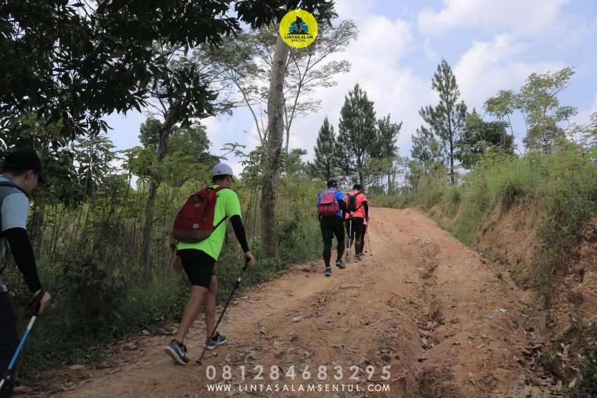 Biaya Guide Tracking Curug Sentul Bogor untuk Corporate