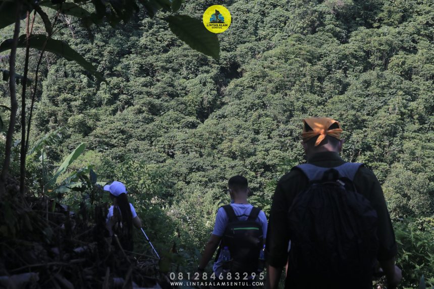 Harga Tracking Curug Sentul Bogor untuk Perusahaan